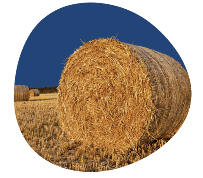 Our Services - Order Parts Online | Clark AG Systems : Clark AG Systems