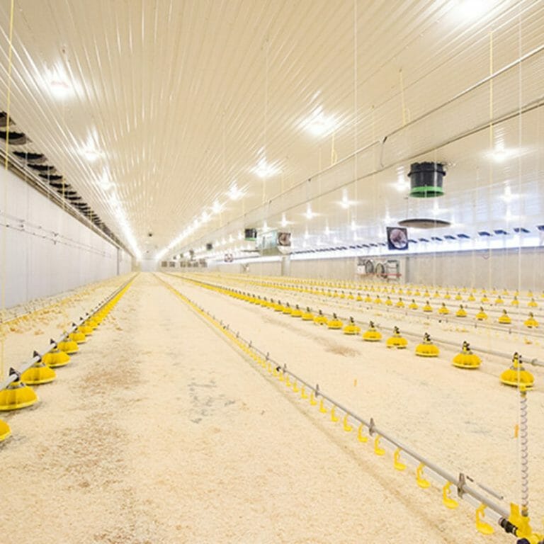 Hato Corax : Clark AG Systems