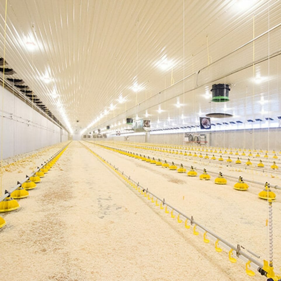 Hato Corax : Clark AG Systems