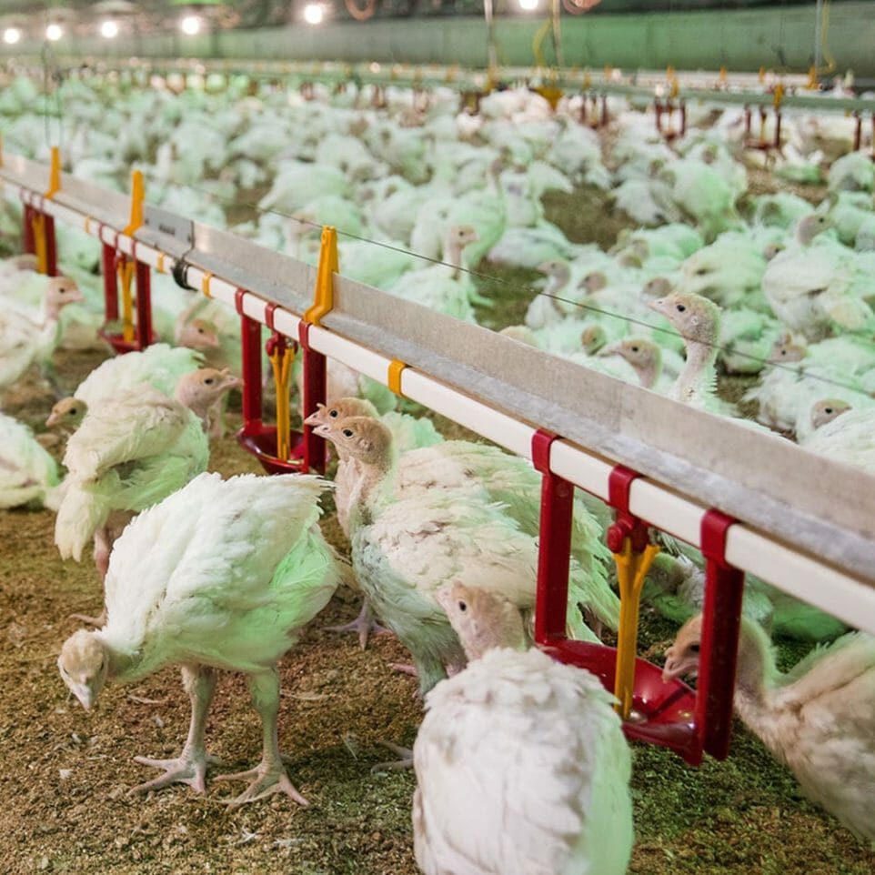 Lubing EasyLine 2.0 : Clark AG Systems